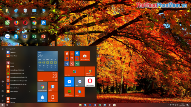 Theme Win 10: Cách cài đặt và sử dụng Theme trên Windows 10