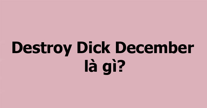 DDD là gì? Destroy Dick December là gì? - Tiện Ích IT